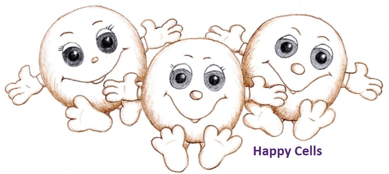 Chondros | SmallerKnickers™